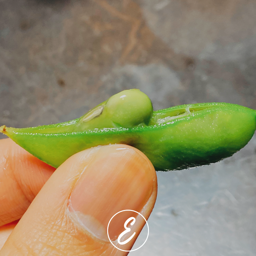 The Nutritional Benefits of Edamame Beans and How to Use Them in ...